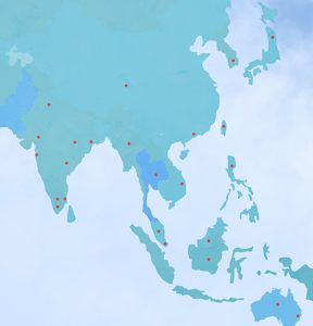 NETWORK – Afcom Cargo – International Cargo Airline